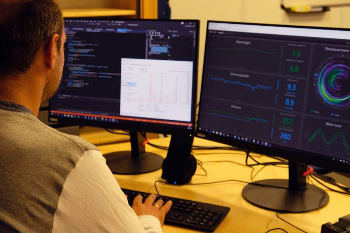 Software Developer vs. Software Engineer: Who is Who?