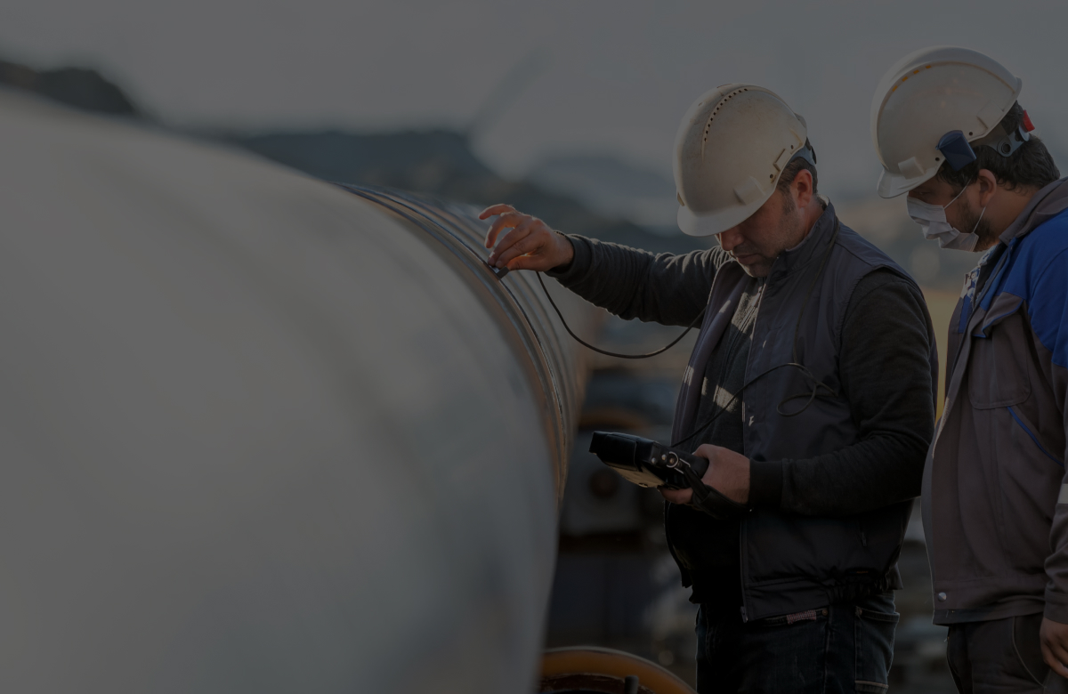 Advanced InspectionManagement System | Intellectsoft