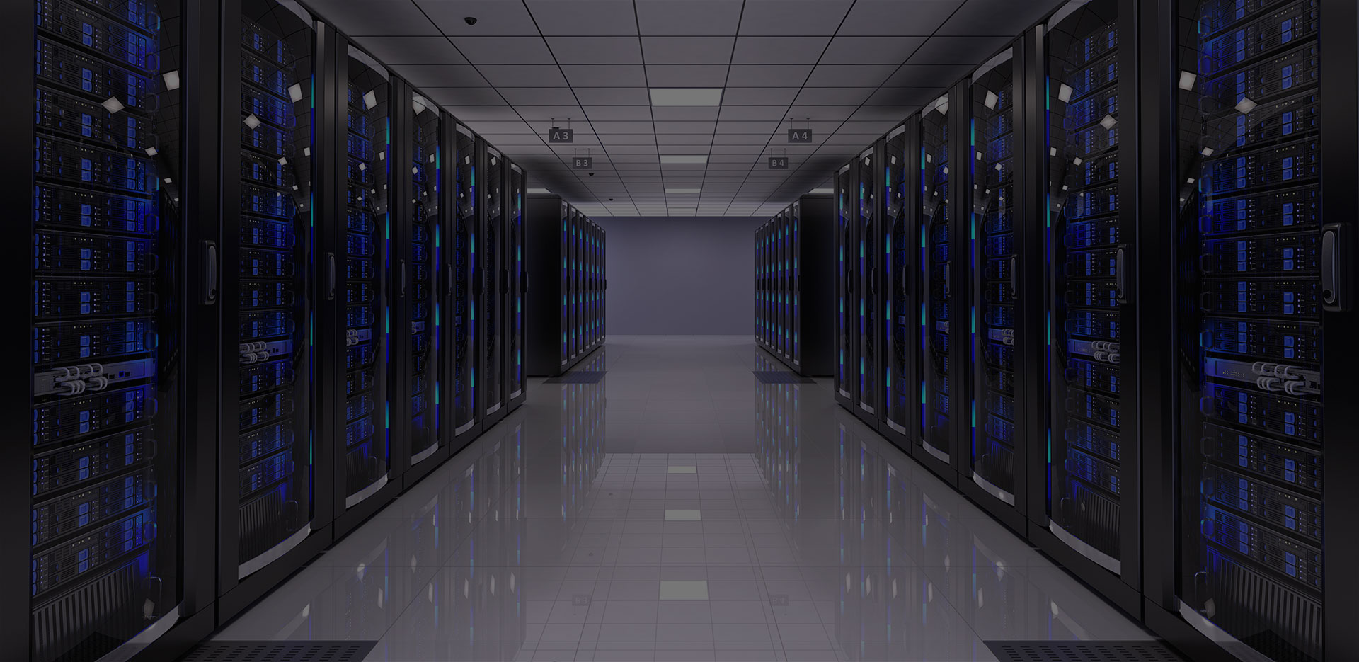 Software & Hi-Tech Development | Intellectsoft