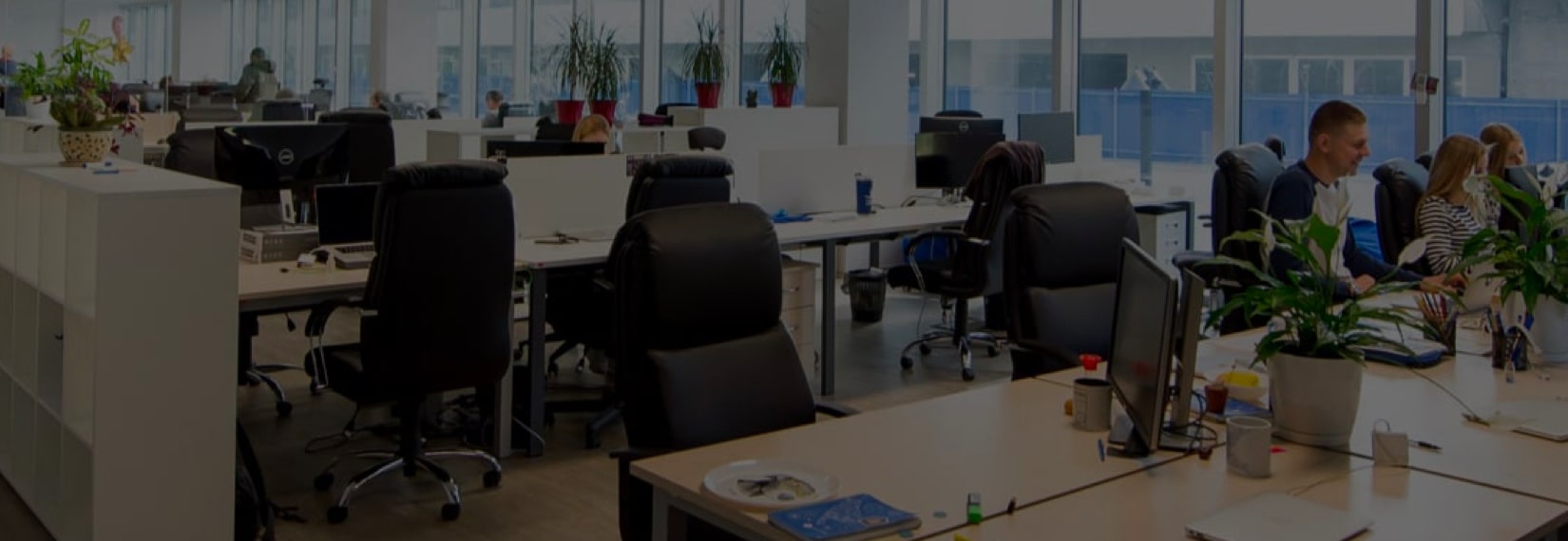 Web Development Services | Intellectsoft